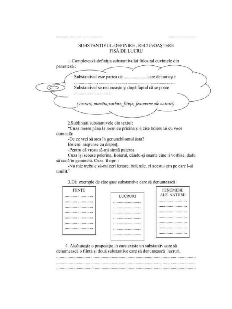 Fisa Substantiv | PDF