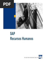 Manual SAP HCM: Guía de Usuario y Soporte | PDF | Bancos