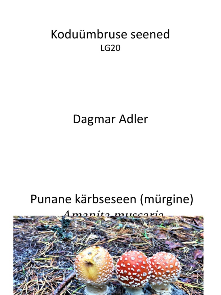 Seened | PDF