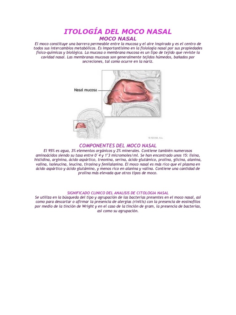 Composición y Función del Moco Nasal | PDF