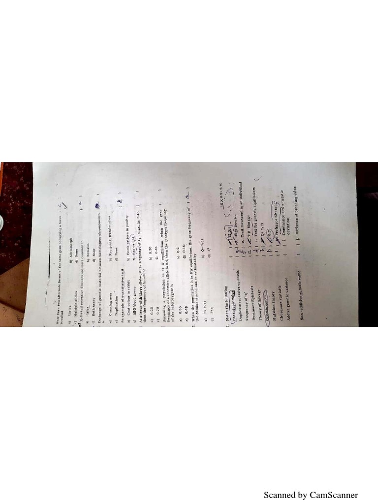 Agb 1 ST Paper Bits | PDF