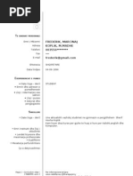 CV Format Shqip | PDF