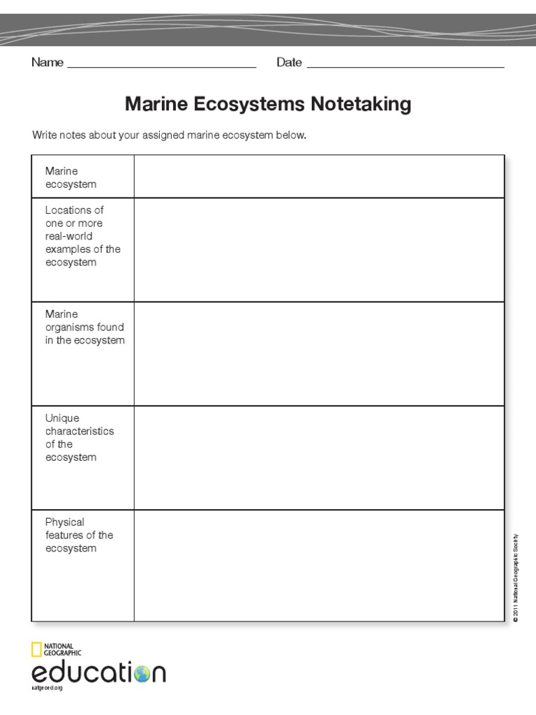 Marine Ecosystems Notetaking | PDF