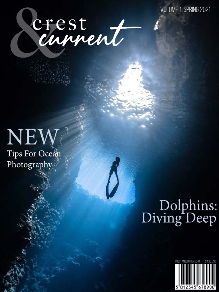 Crest and Current Magazine 2022 | PDF | Coral Reef | Dolphin