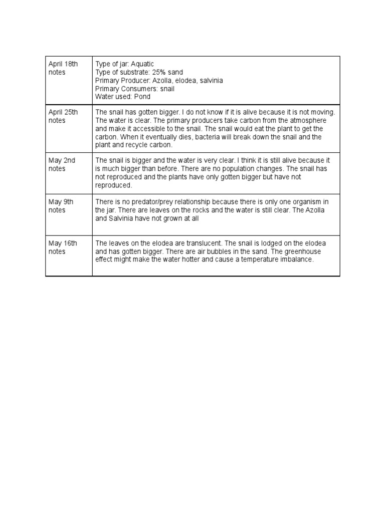 Weekly Observation | PDF