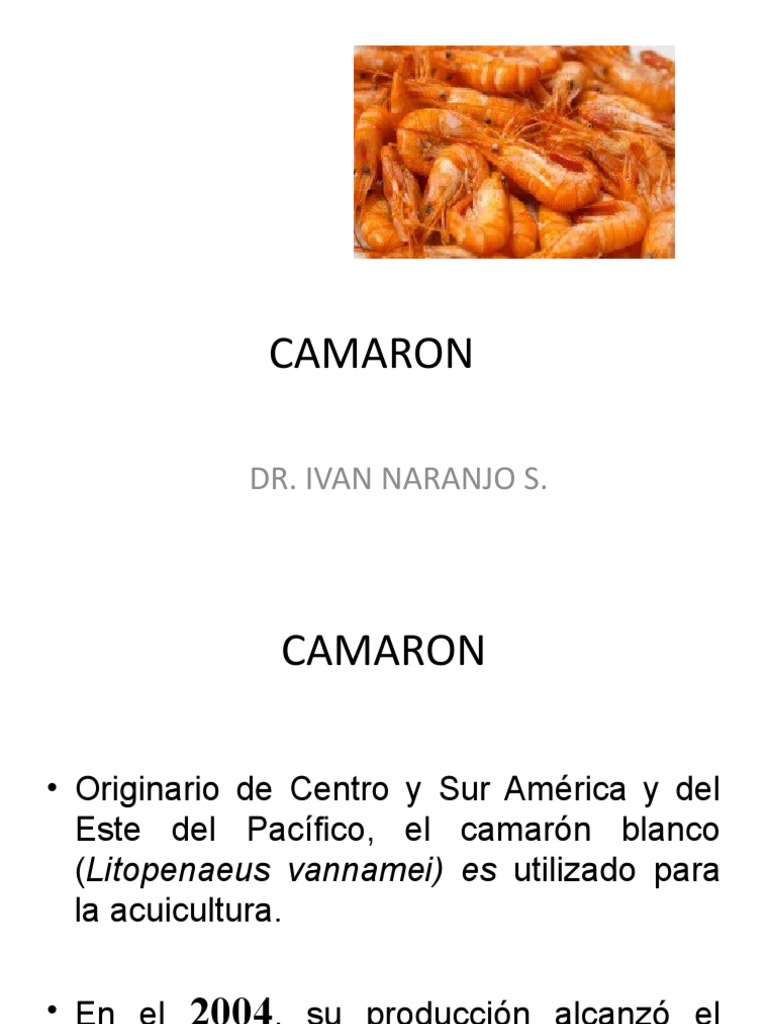 Reproducción y manejo del camarón vannamei | PDF | Agua | Alimentos
