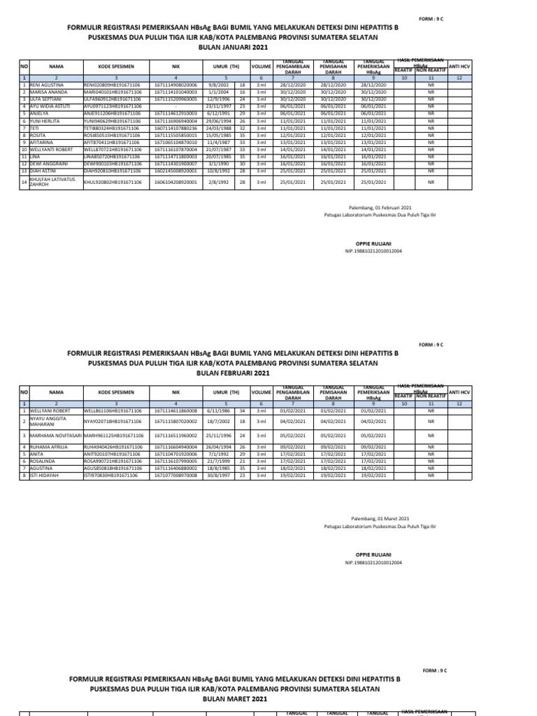 Form Data Hepatitis Bumil 2022 | PDF