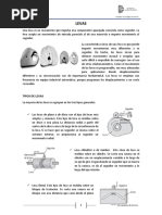 Levas y Excéntricas en Máquinas | PDF | Rotación | Mecánica