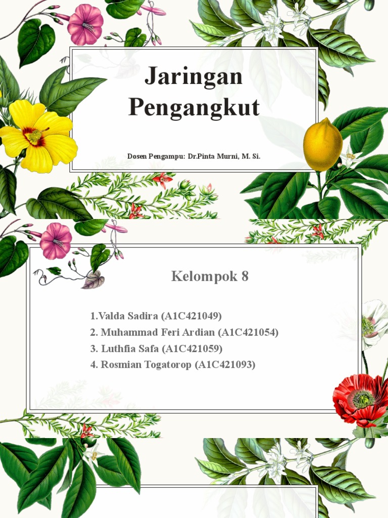 Kelompok 8 Xilem Sekunder Dan Floem Sekunder | PDF