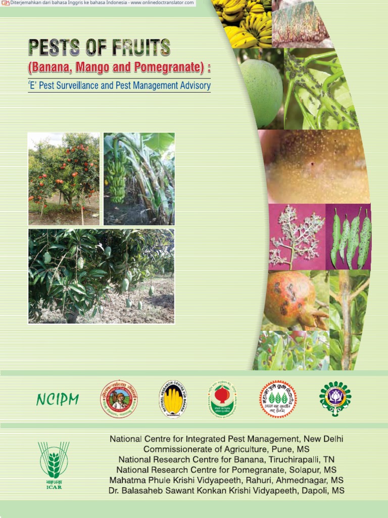 Fruits en Id | PDF