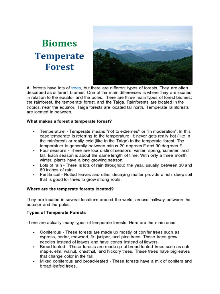 Temperate Forest | PDF | Trees | Forests