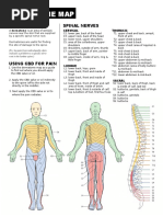 Shoulder Anatomy Interactive Worksheet | PDF