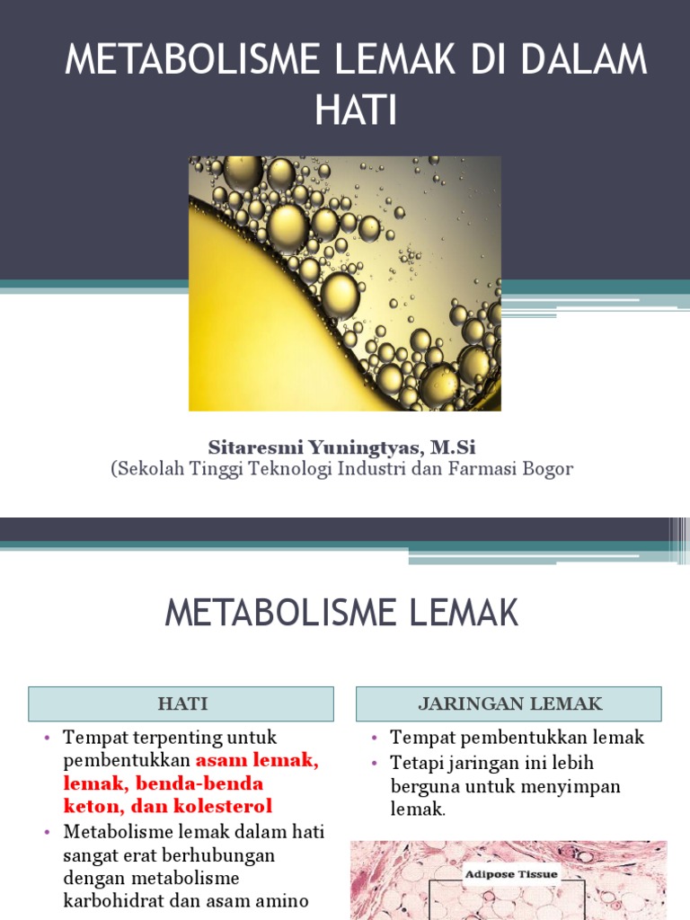 Metabolisme Lemak dan Kolesterol Hati | PDF