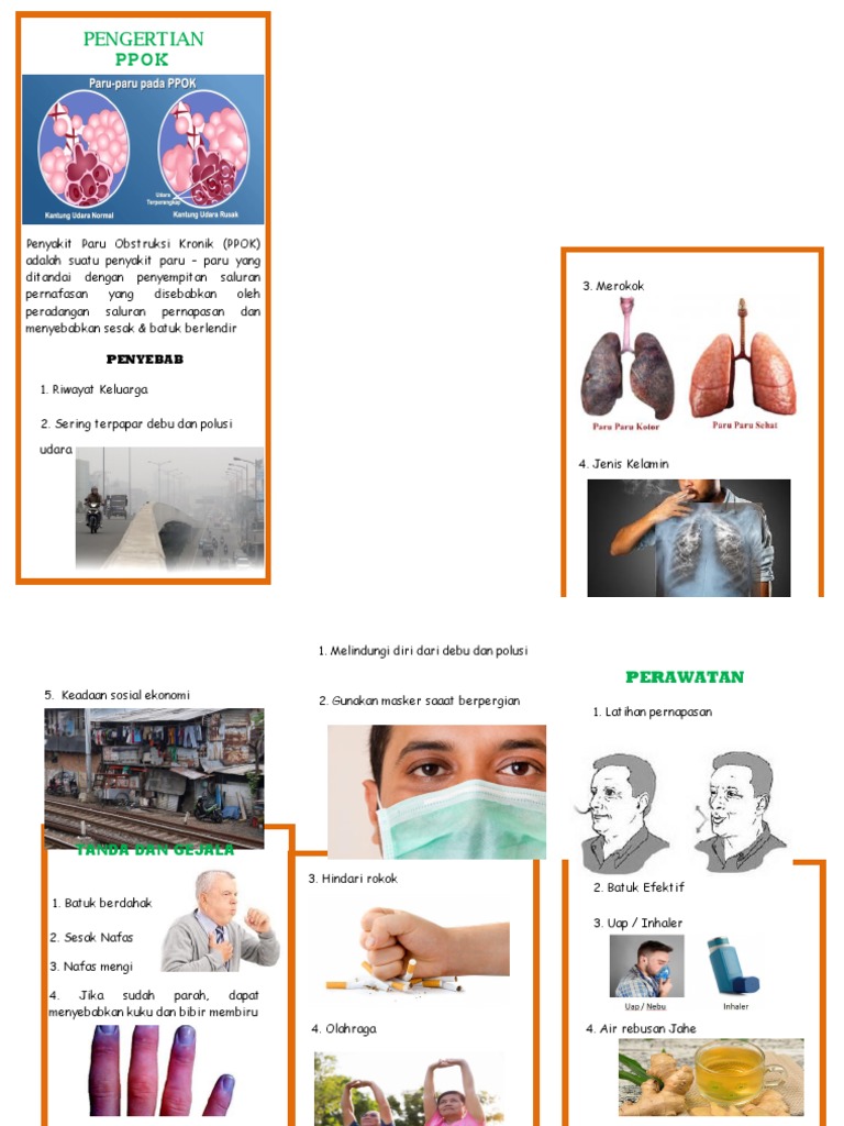 Leaflet Ppok | PDF