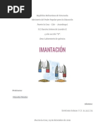 Método de Separación - Imantación | PDF | Imán | Magnetización