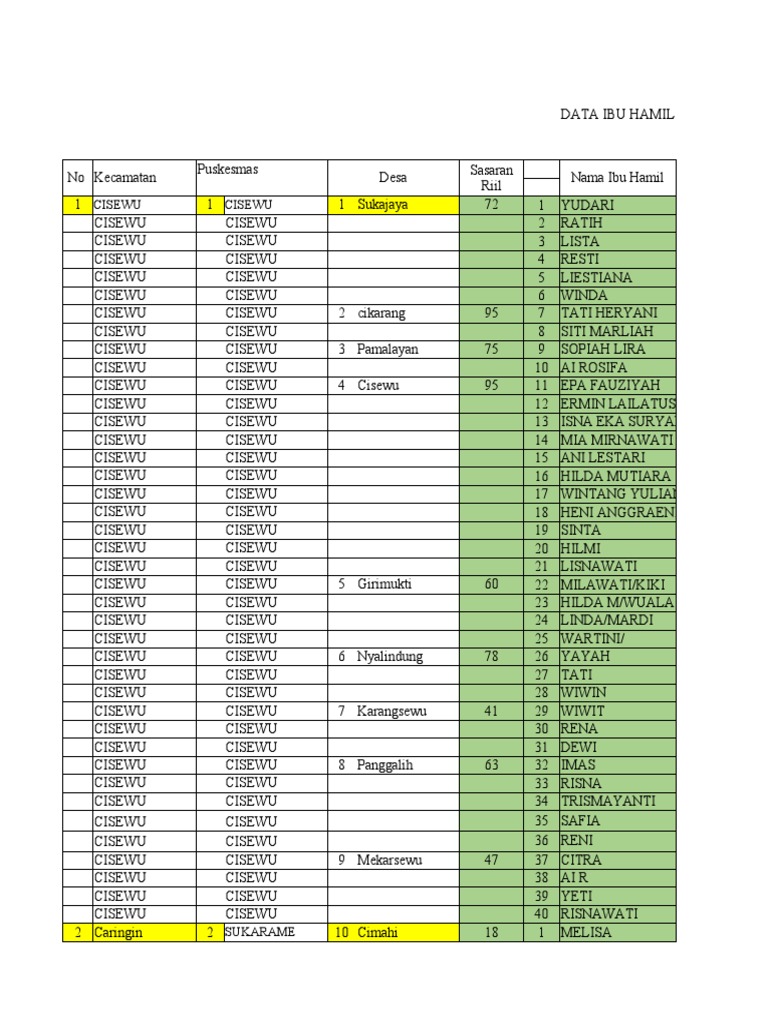 Rekapitulasi Data Ibu Hamil k1 S.D Maret 2022 | PDF
