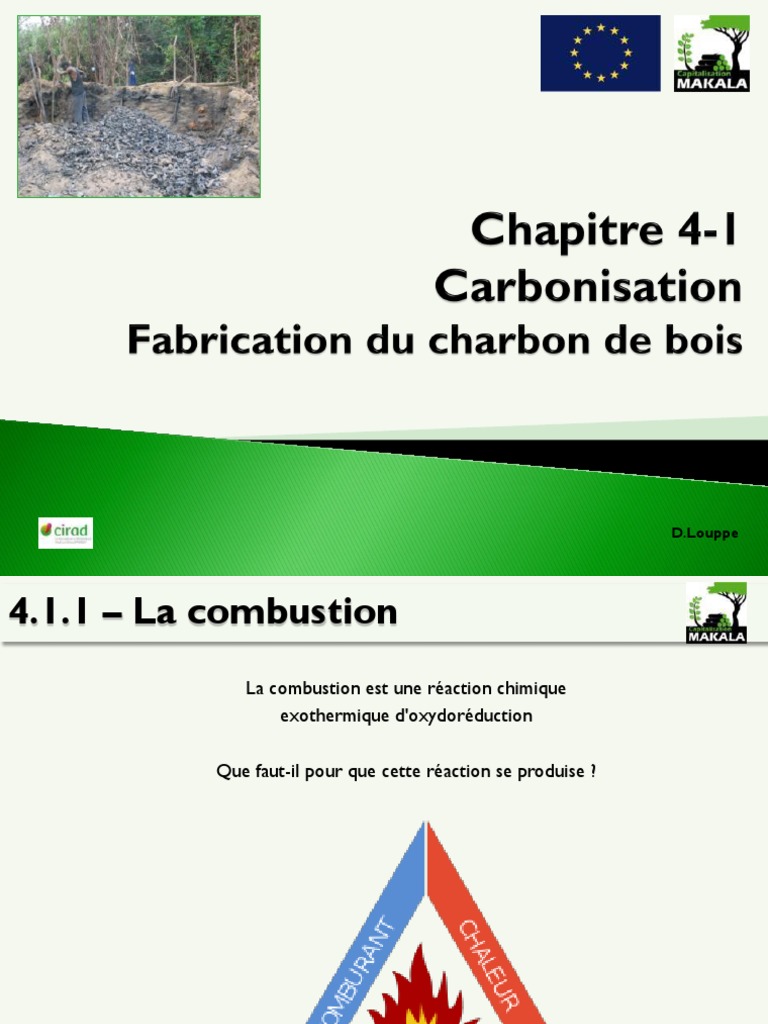 4-1 Carbonisation - Projet Makala DL | PDF | La combustion | Charbon