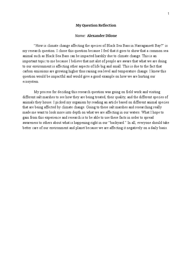 Alexander Dilone - My Question Reflection | PDF