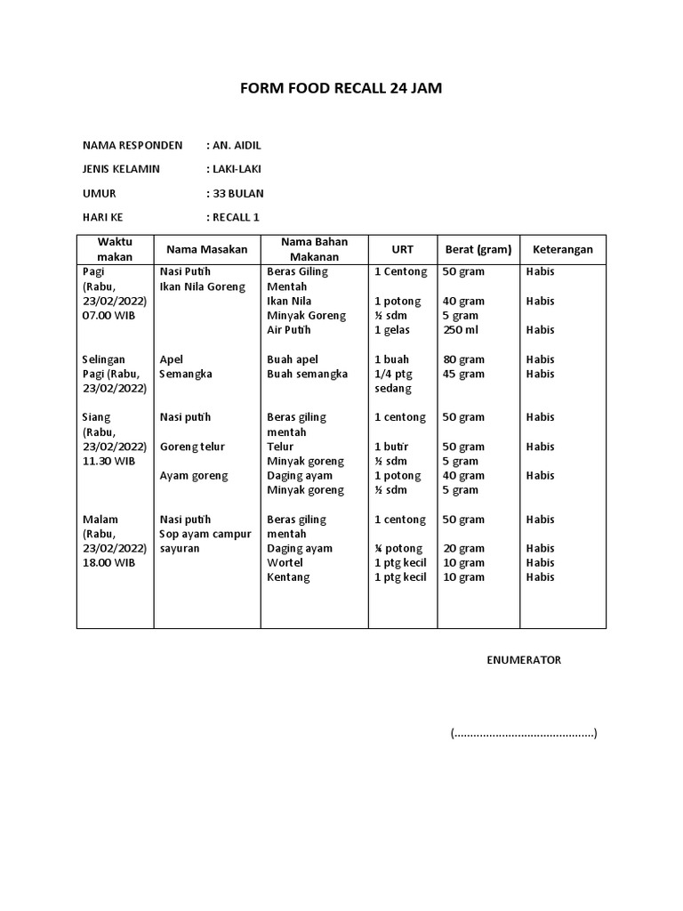 Form Food Recall 24 Jam (Balita Aidil | PDF