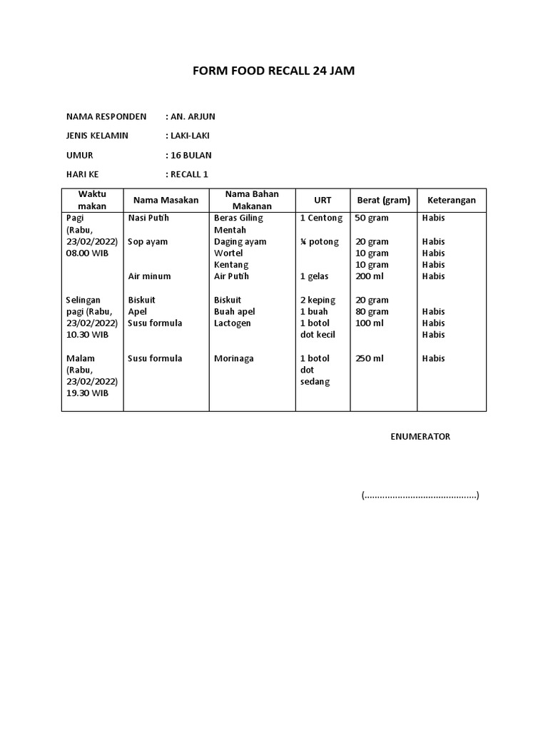 Form Food Recall 24 Jam (Balita Arjun) | PDF