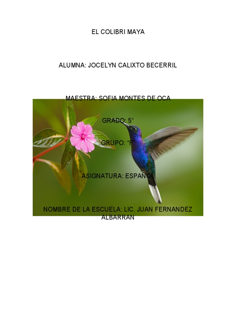 Leyenda del Colibrí Maya | PDF | Ciencias sociales | Libros para ...
