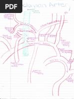 Wagner Classification of Diabetic Foot Ulcers | PDF | Dermatology ...