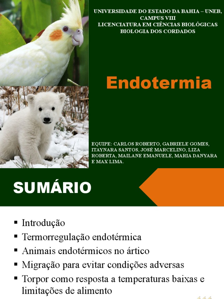 Endotermia (Cordados) | PDF