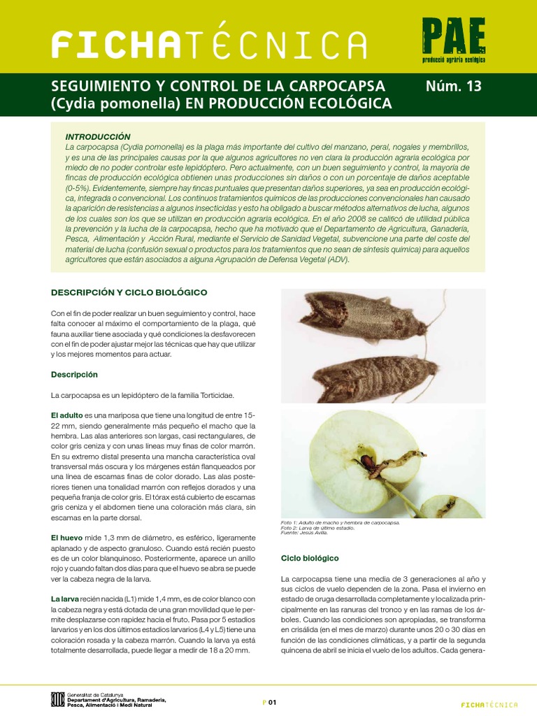 Carpocapsa, Gusano de La Manzana | PDF | Agricultura