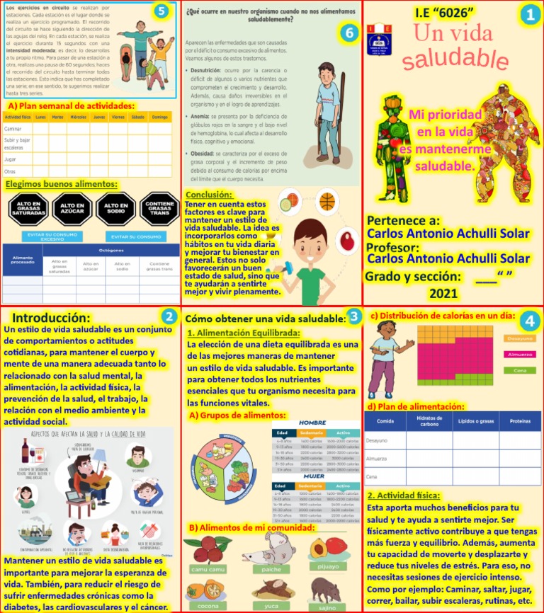MOdelo de Triptico Vida Saludable 1 | PDF | Nutrición | Dieta y nutrición