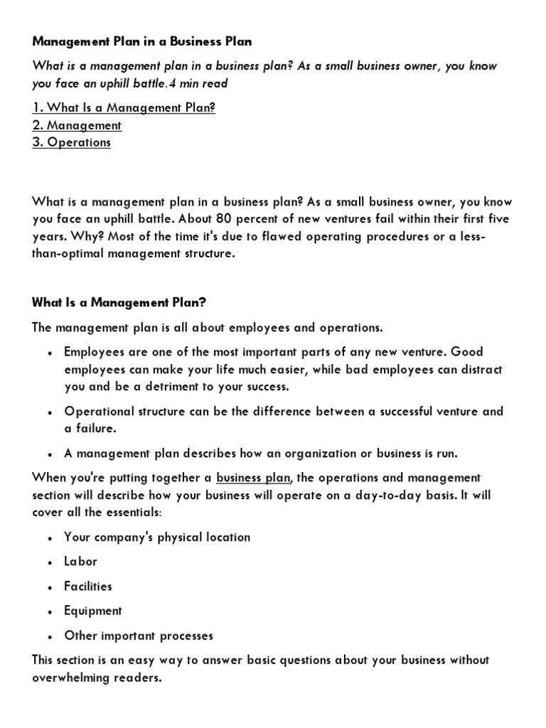 Management Plan Essentials for Business | PDF | Hierarchy | Investor