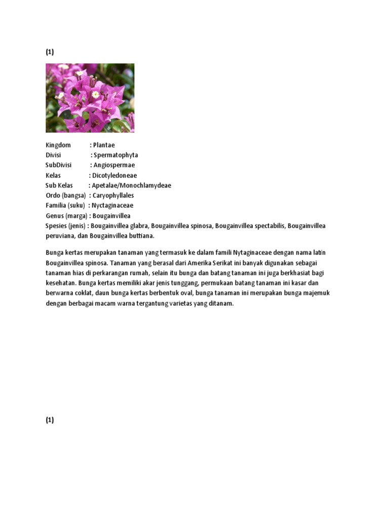 Herbarium | PDF | Griya & Taman