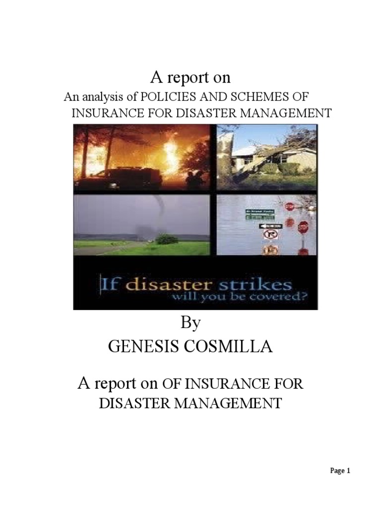 Disaster Insurance Policies Analysis | PDF | Emergency Management ...