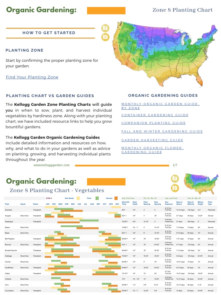 Zone 8 Vegetable Planting Chart | PDF | Vegetables | Fertilizer