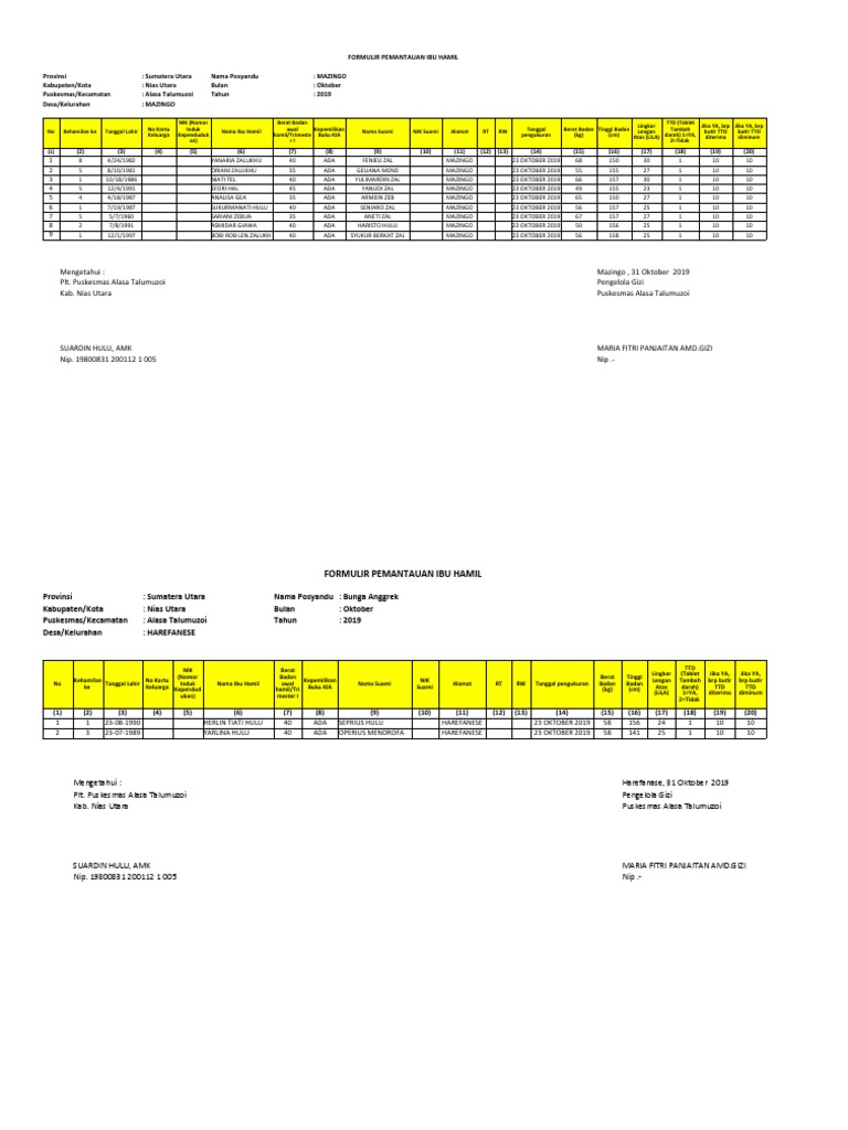 Laporan Gizi Juni | PDF