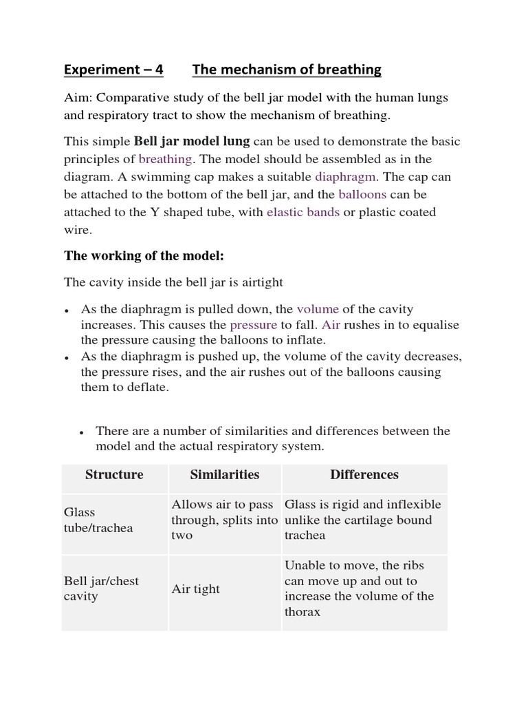 Practical Biology - Experiment 4 Mechanism of Breathing | PDF | Lung ...