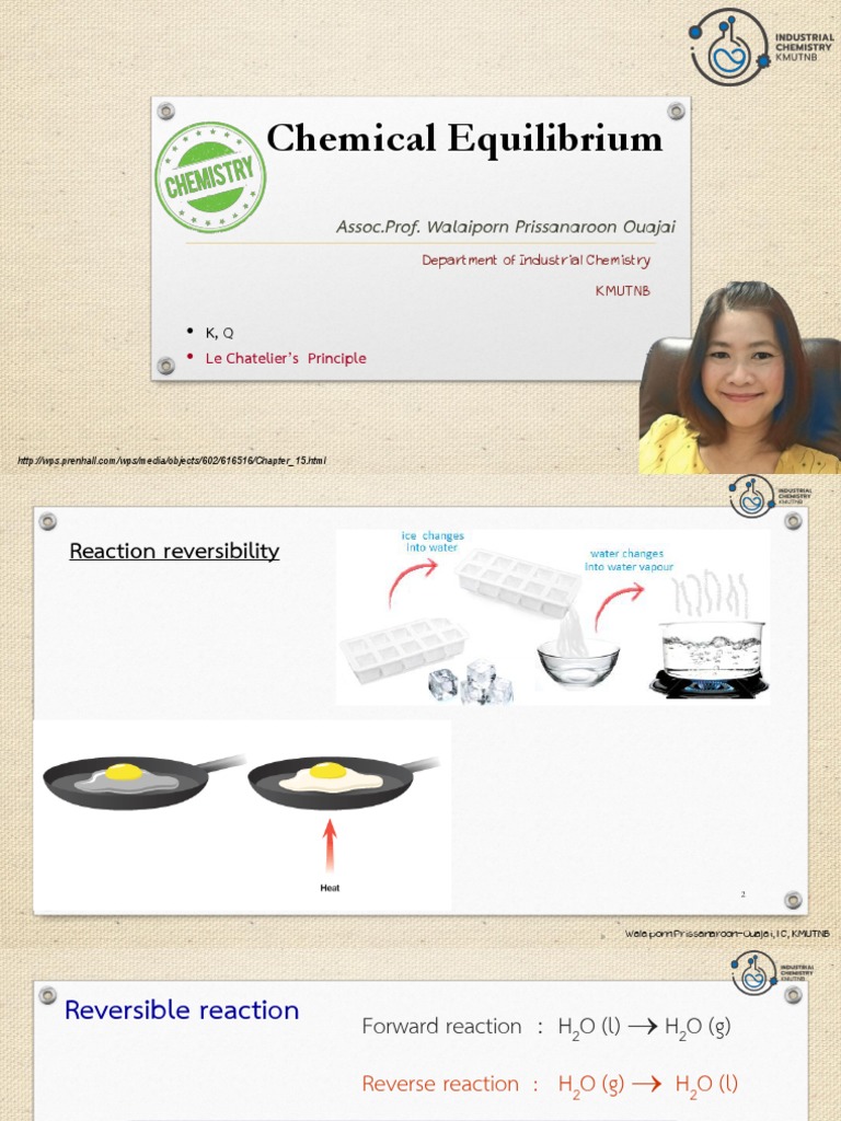 Chemical Equilibria | PDF | Chemical Equilibrium | Chemical Reactions