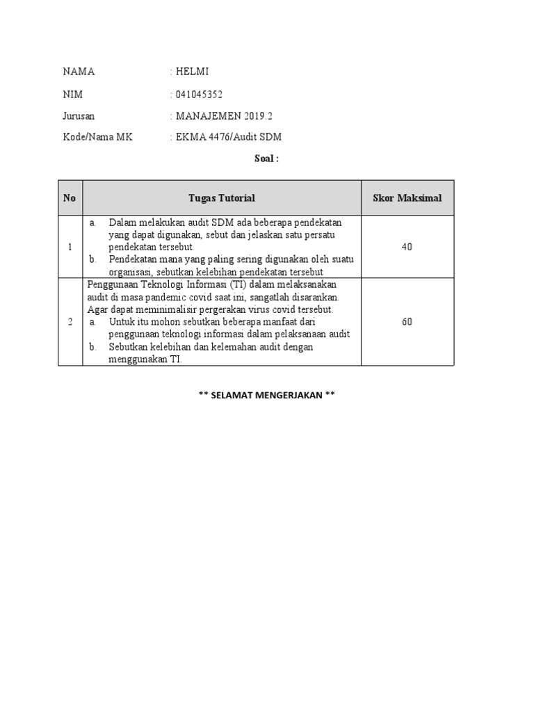 TUGAS 2 Audit SDM (Selesai) | PDF