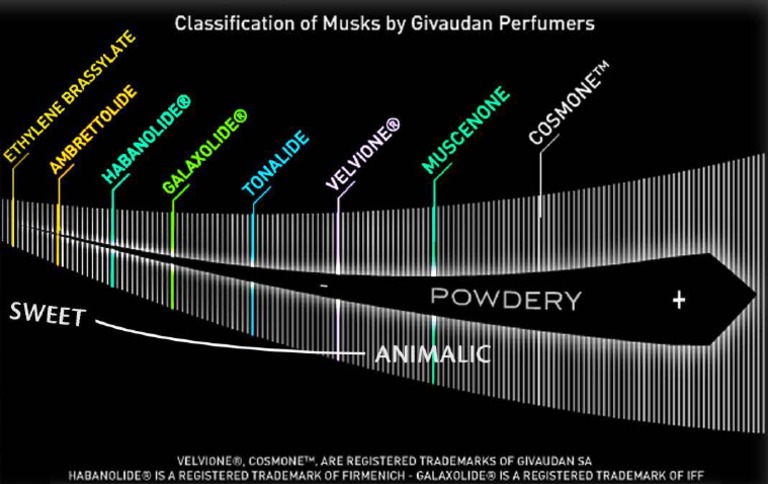 Classification of Musks Graph | PDF