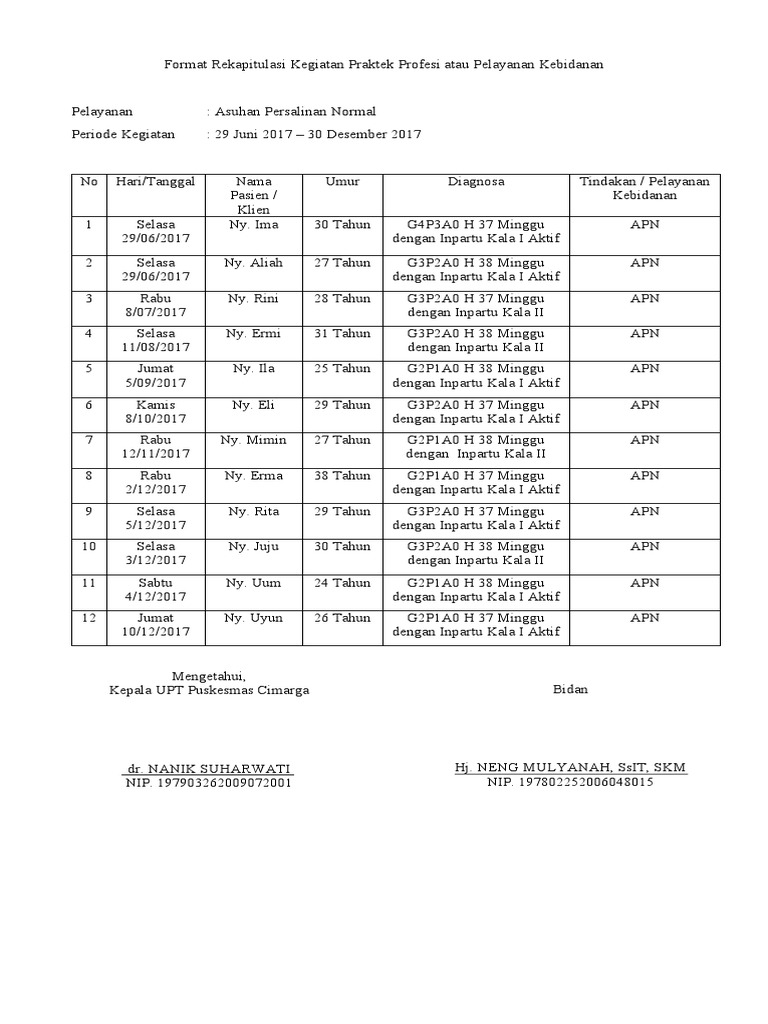 Format Rekapitulasi Kegiatan Praktek Profesi Atau Pelayanan Kebidanan APN | PDF
