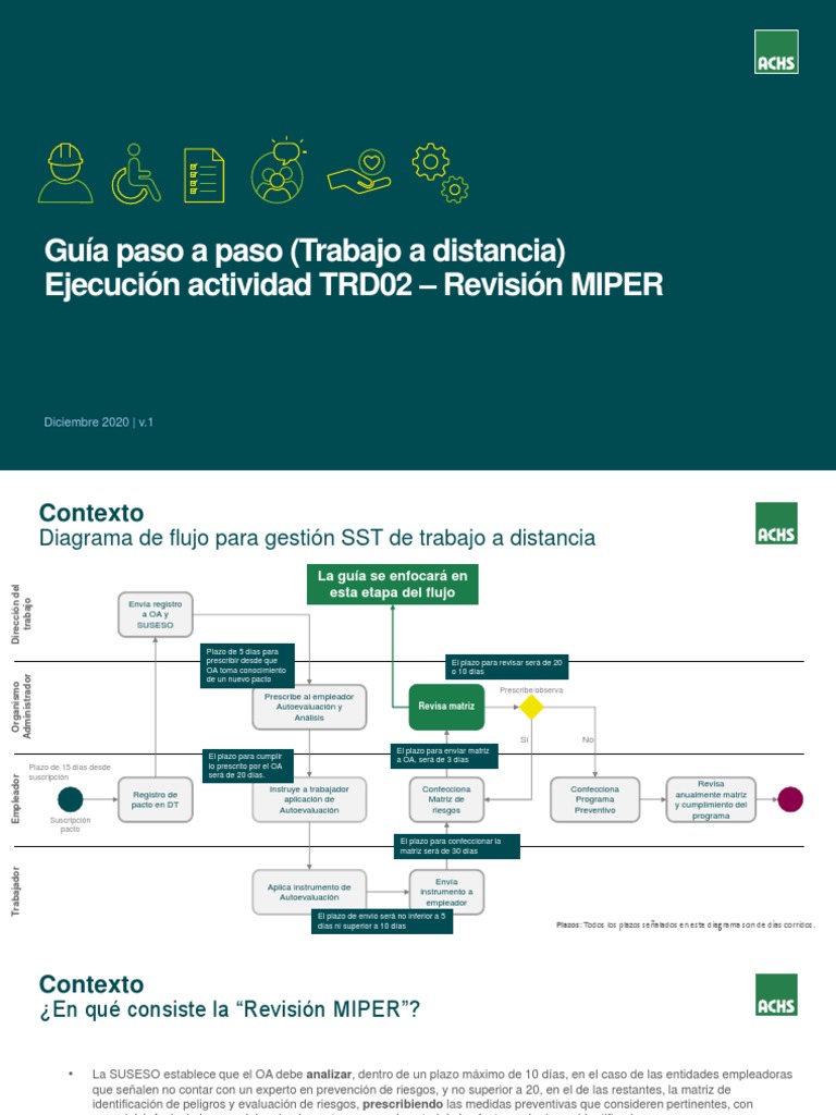 Guia Paso A Paso Revision MIPER v2 | PDF | Riesgo | Información