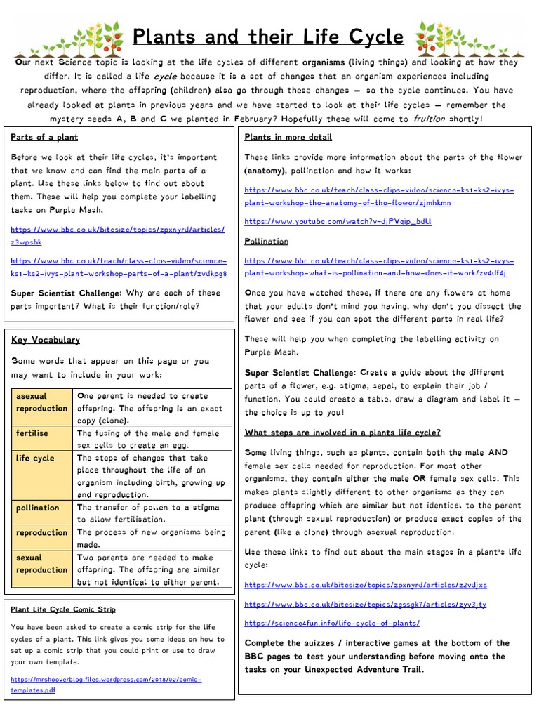 Year 5 Plants and Their Life Cycles Guidance Sheet | PDF | Sexual ...