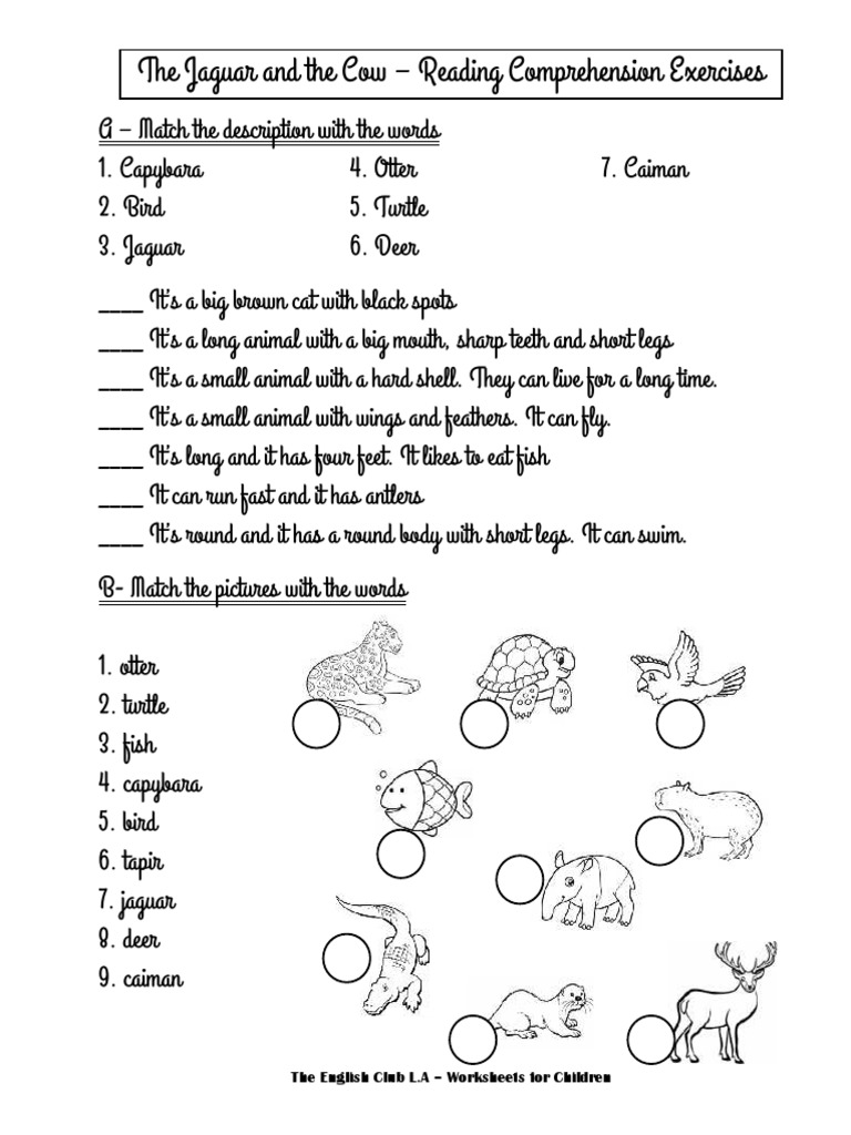 The Jaguar and The Cow - Worksheets | Download Free PDF | Jaguar