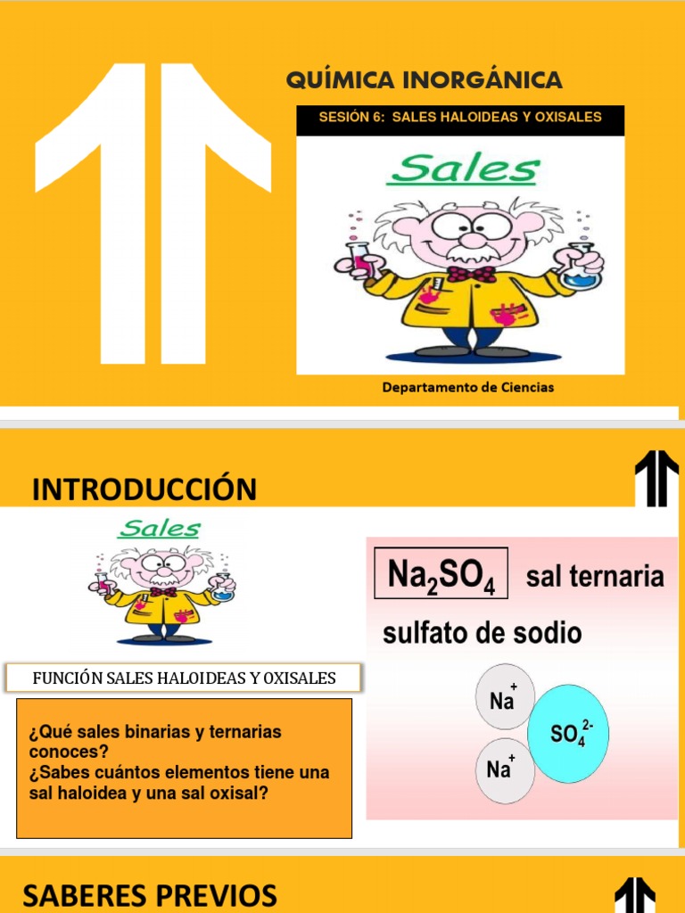Sesion 6 Función Sales Haloideas y Oxisales | PDF | Sal (química) | Química