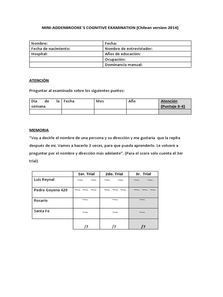 Mini ACE Chile | PDF