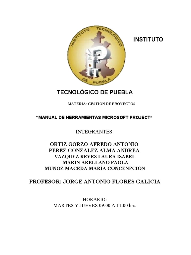 Manual Project | PDF | Microsoft | Software