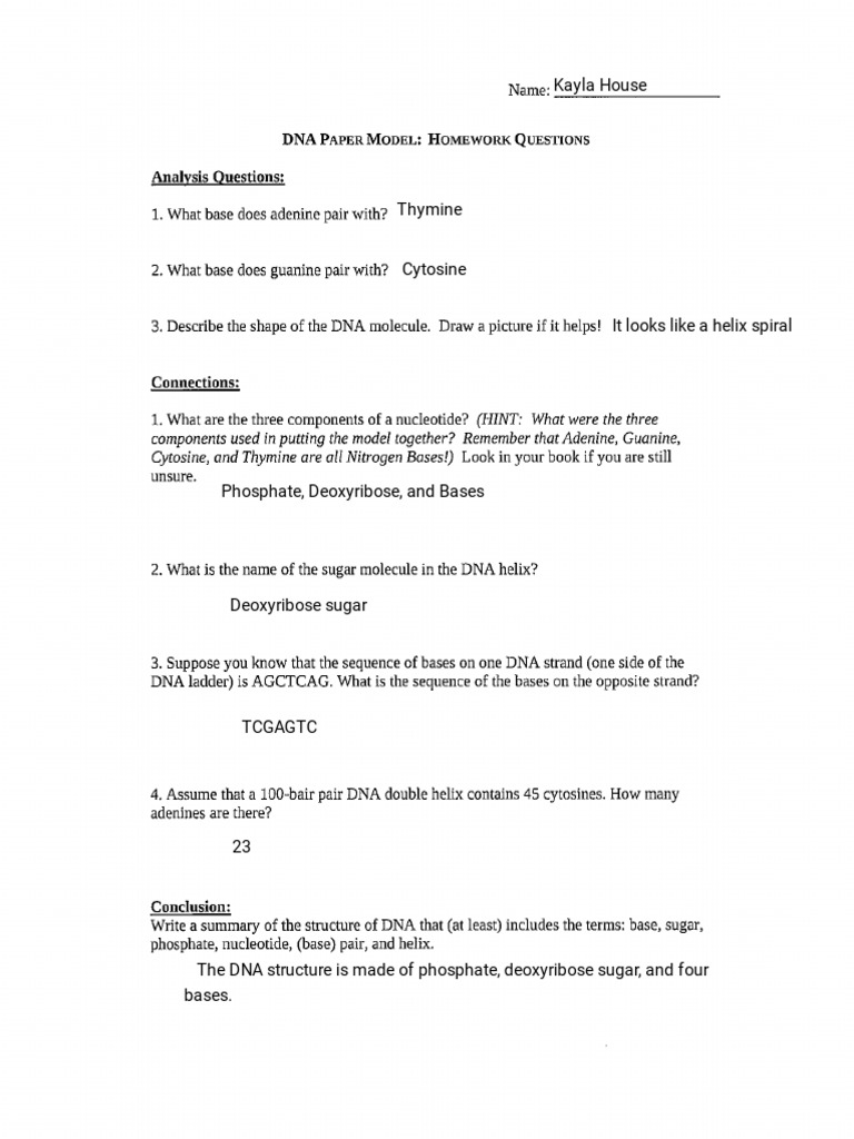 Kayla House - DNA Model Questions | PDF | Wellness | Science & Mathematics