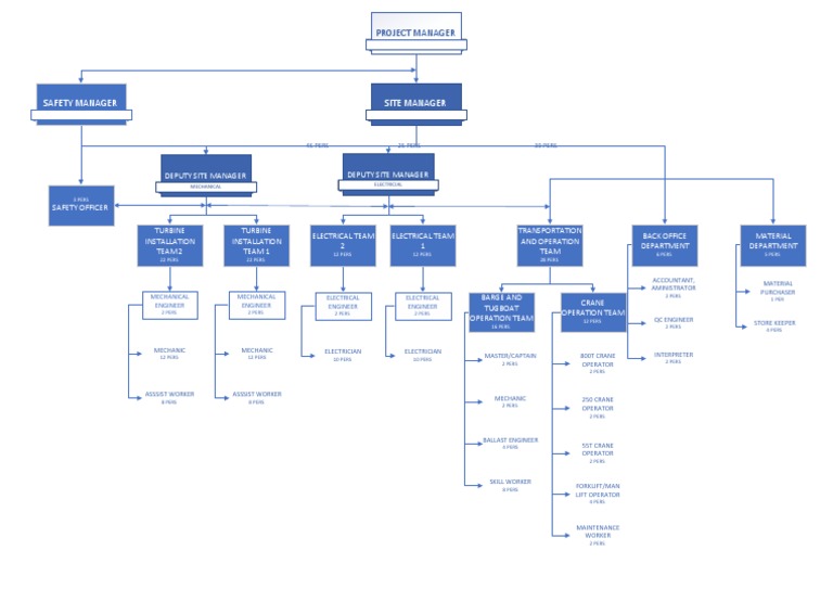 PROJECT ORGANIZATION FLOWCHART | PDF