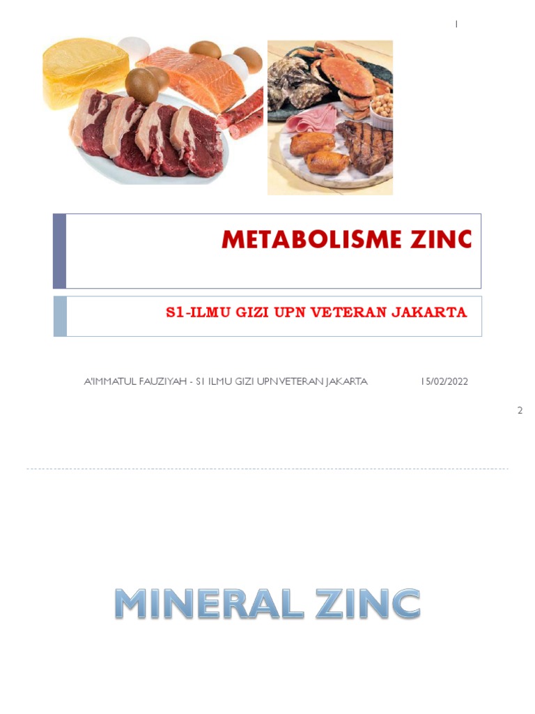 Metabolisme Mineral Zinc | PDF