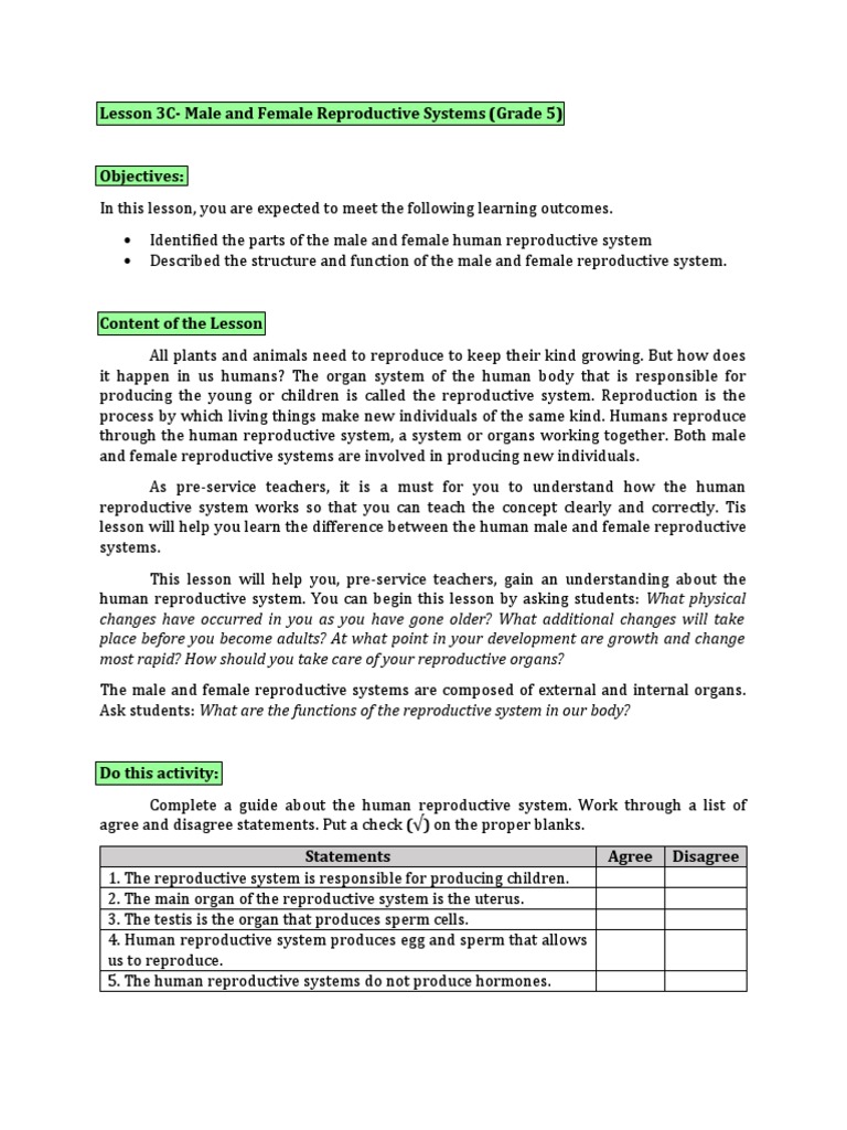 Lesson 3C-Male and Female Reproductive Systems (Grade 5) Objectives ...