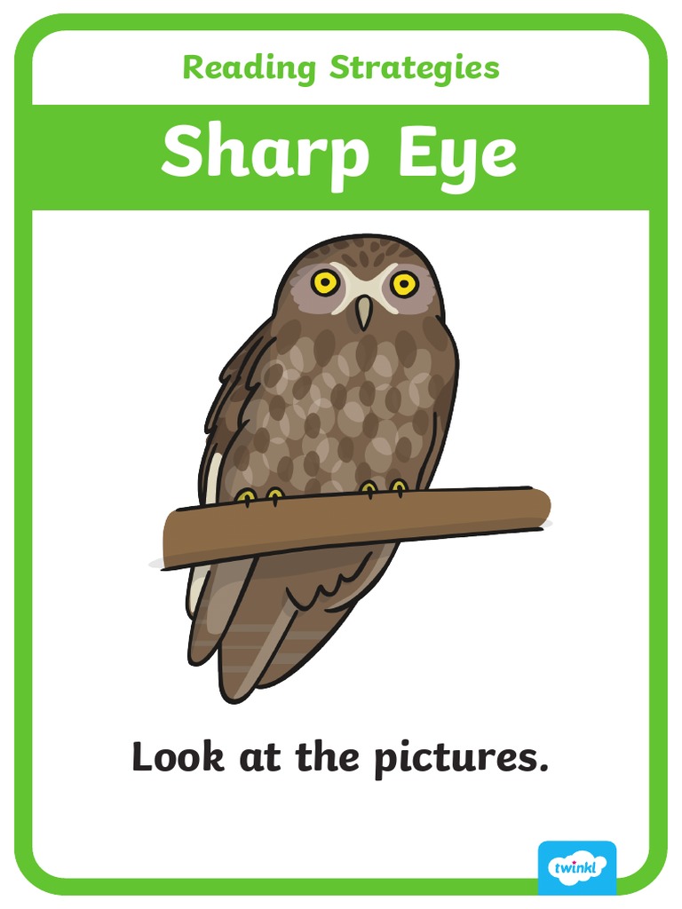 Guided Reading Strategy Display Posters | PDF | Language Arts & Discipline